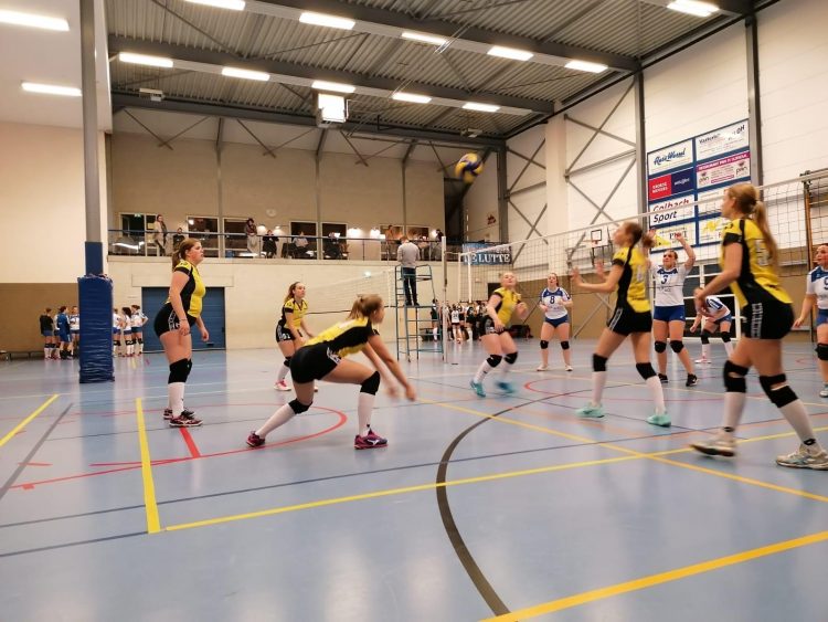 Mintonette volleybaldames 1 opent de jacht op de derde plaats in de 4e ... Mintonette volleybaldames 1 opent de jacht op de derde plaats in de 4e ...